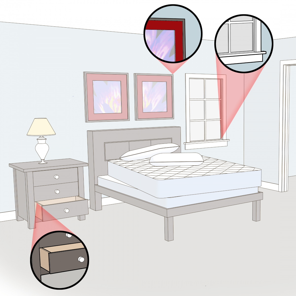 Do It Yourself Professional Bed Bug Inspection - Custom Bedbug
